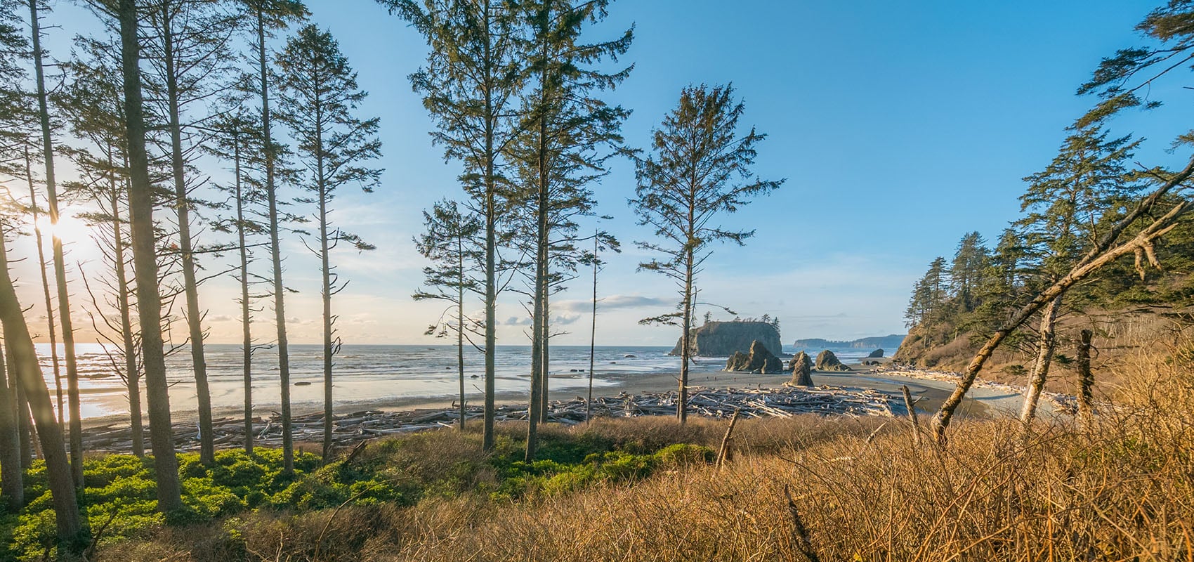 Welcome to Forks, Washington!