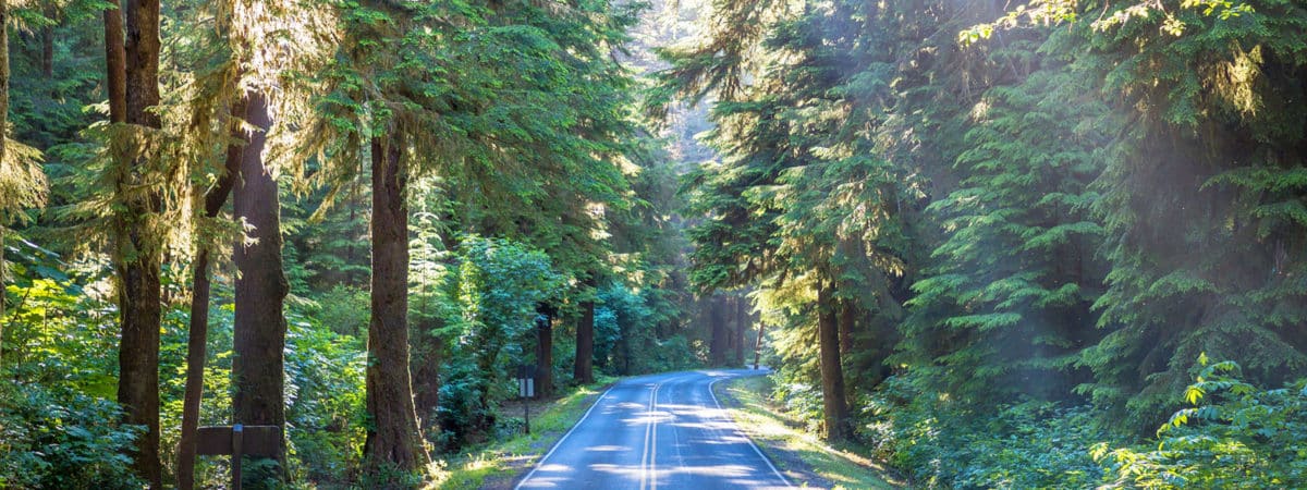 Directions to Forks Washington