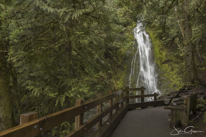 Visiting Olympic National Park, Forest and Marine Sanctuary