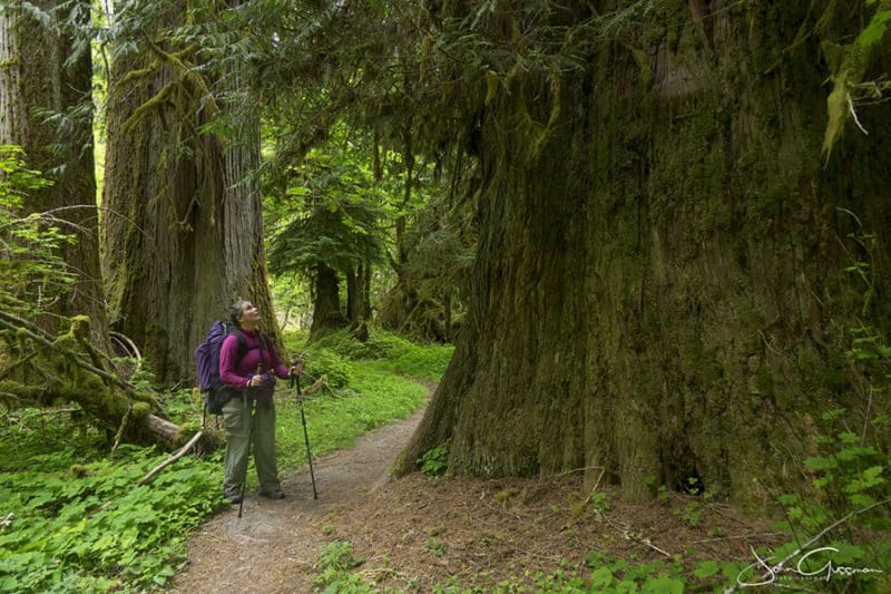 Visiting Olympic National Park, Forest and Marine Sanctuary